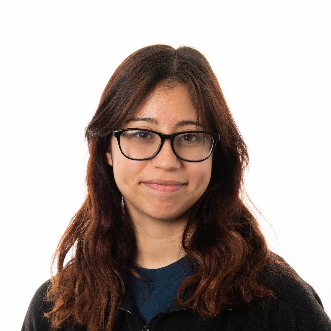 Support for electricity connection applications